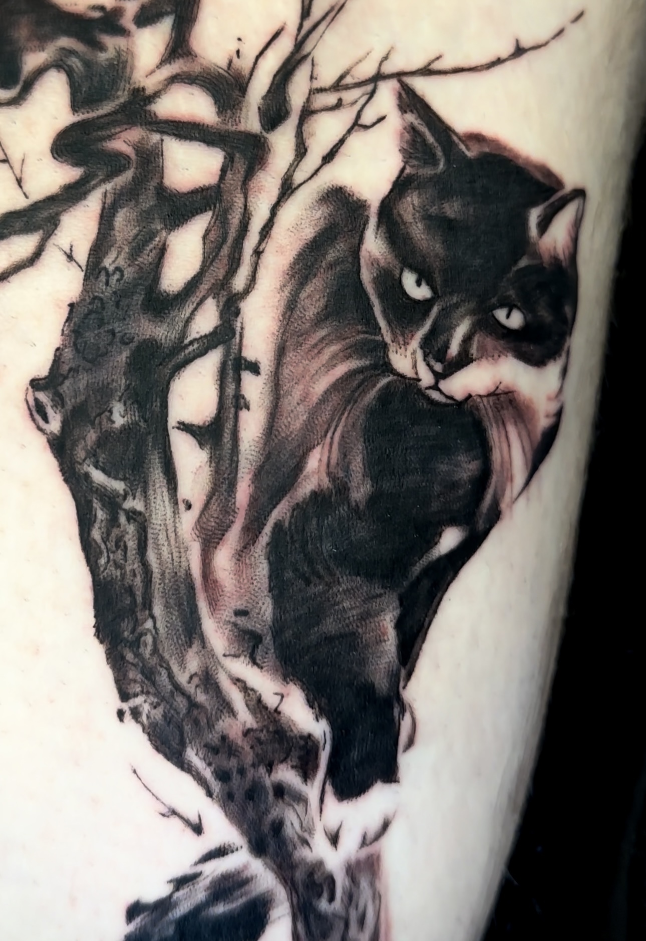 Portfolio - Sumie Tattoo Art | 墨絵美術